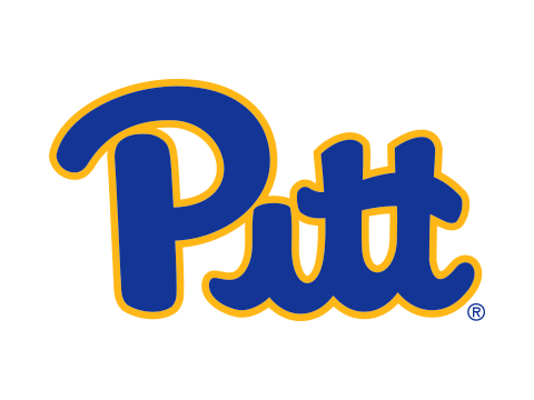 PITTSBURGH PANTHERS – Mk Socks